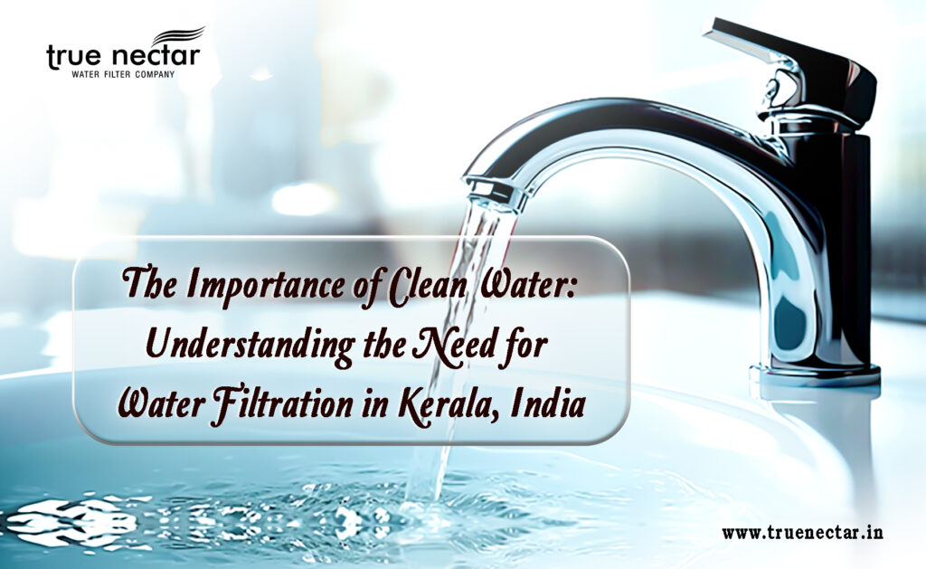 The Importance of Clean Water in Kerala, India - True Nectar